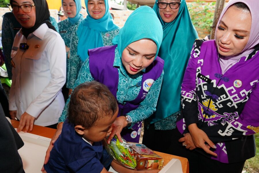 Ketua TP. PKK Provinsi Lampung Canangkan Desa TAPIS di Way Kanan ...